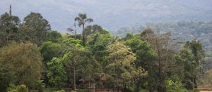 Linger - Do Nothing Vacations